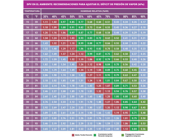 Qué es el DPV y cómo afecta al cultivo - Mr. Hide Seeds®